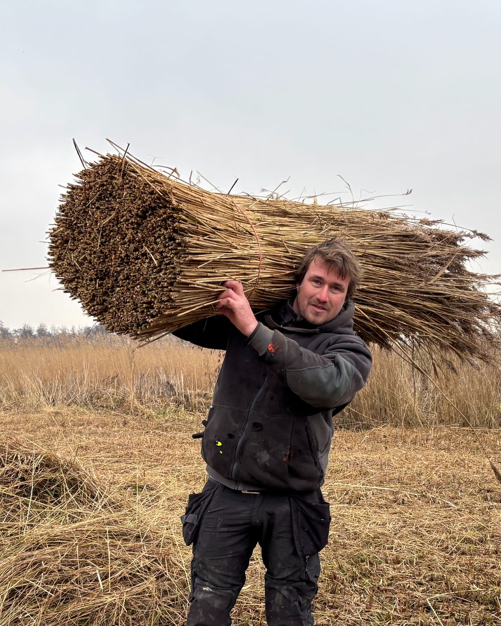 Vader en zoon rietsnijders slaan alarm: 'Lokaal riet verdwijnt door ...