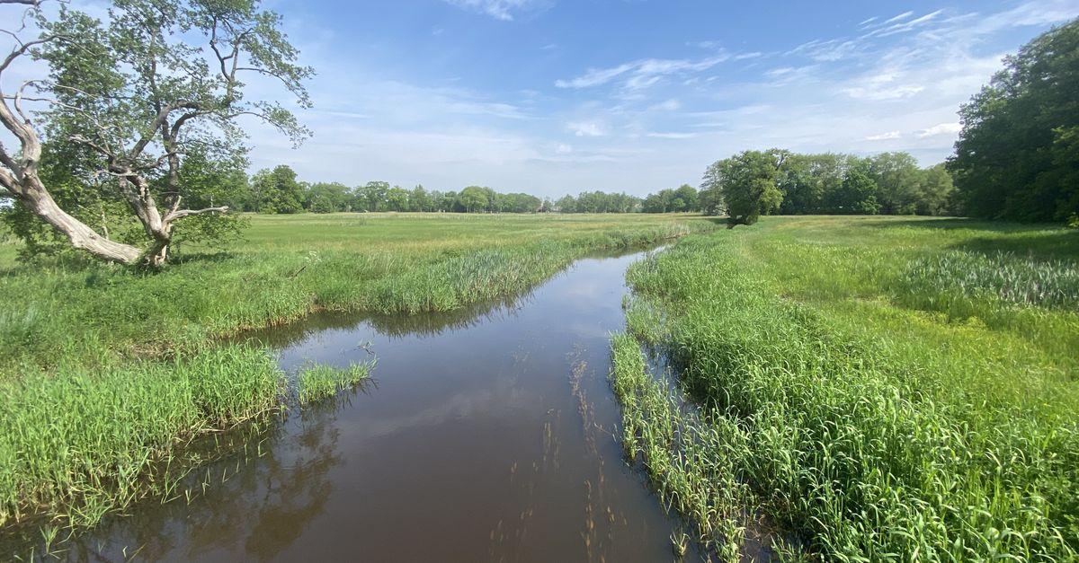 Drenthe krijgt 270 miljoen voor aanpak landelijk gebied, meest van alle ...