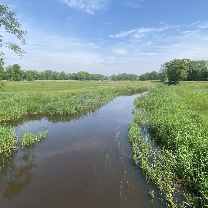 Drenthe krijgt 270 miljoen voor aanpak landelijk gebied, meest van alle ...
