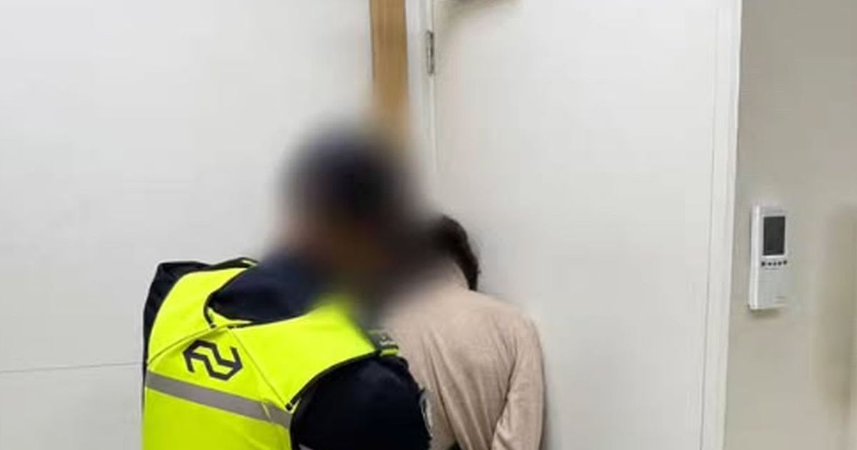 Man bespuugt NS-medewerker, plast in broek en slaat zijn hoofd tegen ...