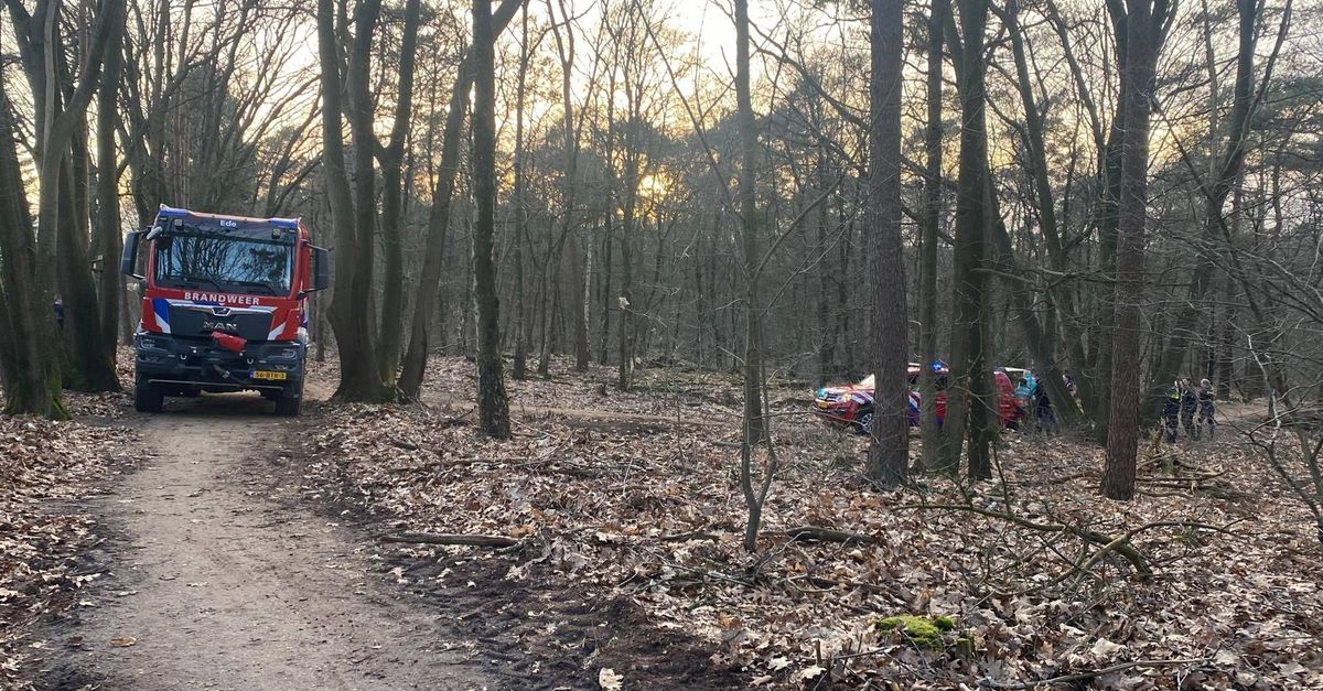 Ruiter naar ziekenhuis na val van paard - Omroep Gelderland