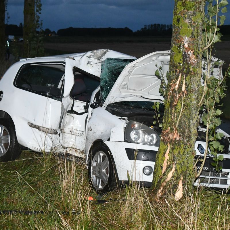 Bestuurder rijdt tegen boom bij Colijnsplaat en raakt zwaargewond - Omroep Zeeland