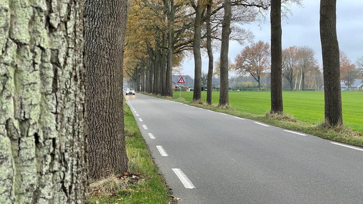 Hobbelweg tussen Rolde en Anderen vanaf woensdag drie maanden dicht ...