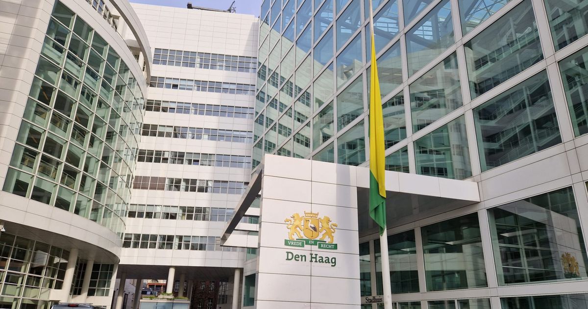 Vlag halfstok of gebouwen in het blauw-wit: zo reageren gemeenten op ...