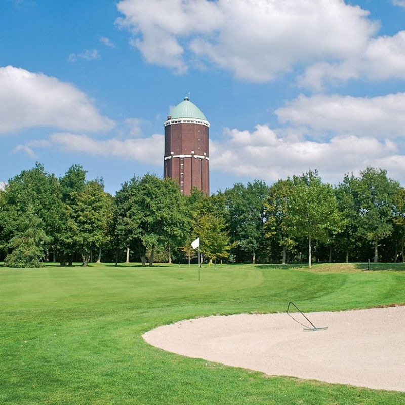 Golfvereniging Axel plant halve hectare bos op terrein van Martin: 'Van harte welkom' - Omroep ...