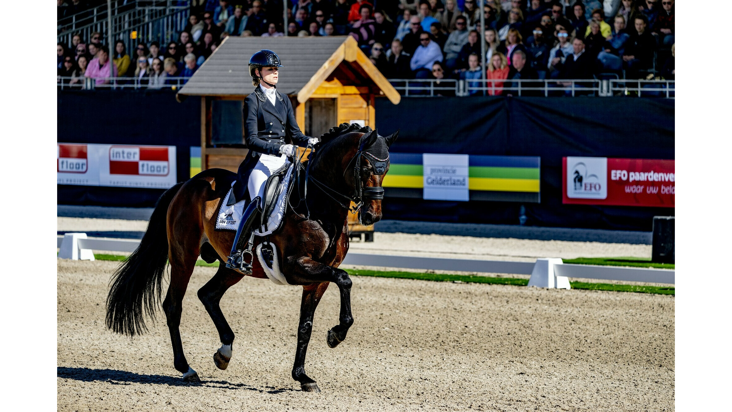 Van Liere wint NK en toont topvorm op meetmoment Olympische Spelen ...