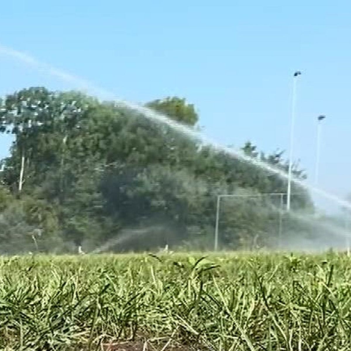 Drûger as yn it rekôrjier: Wetterskip ropt boeren op om te oerlizzen ...