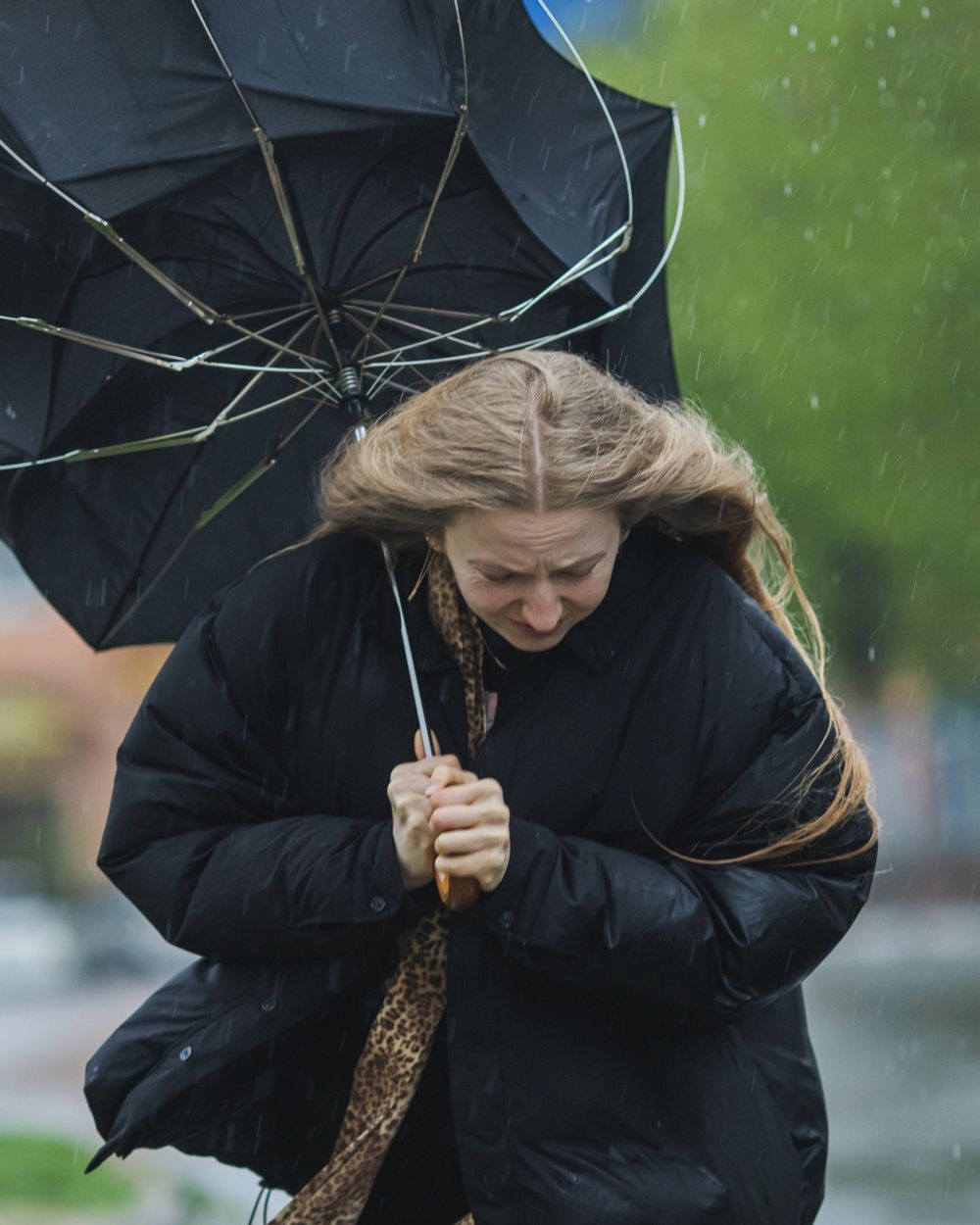 Onstuimig weer op komst: regen, harde wind en onweer - L1 Nieuws