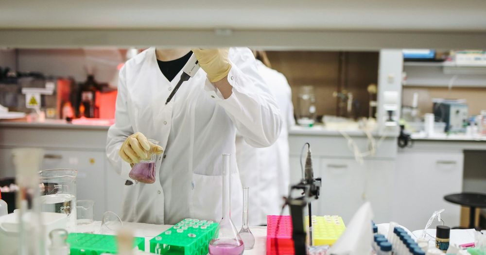 Kennis dreigt te verdampen zonder investeringen: 'Het is nu of nooit ...