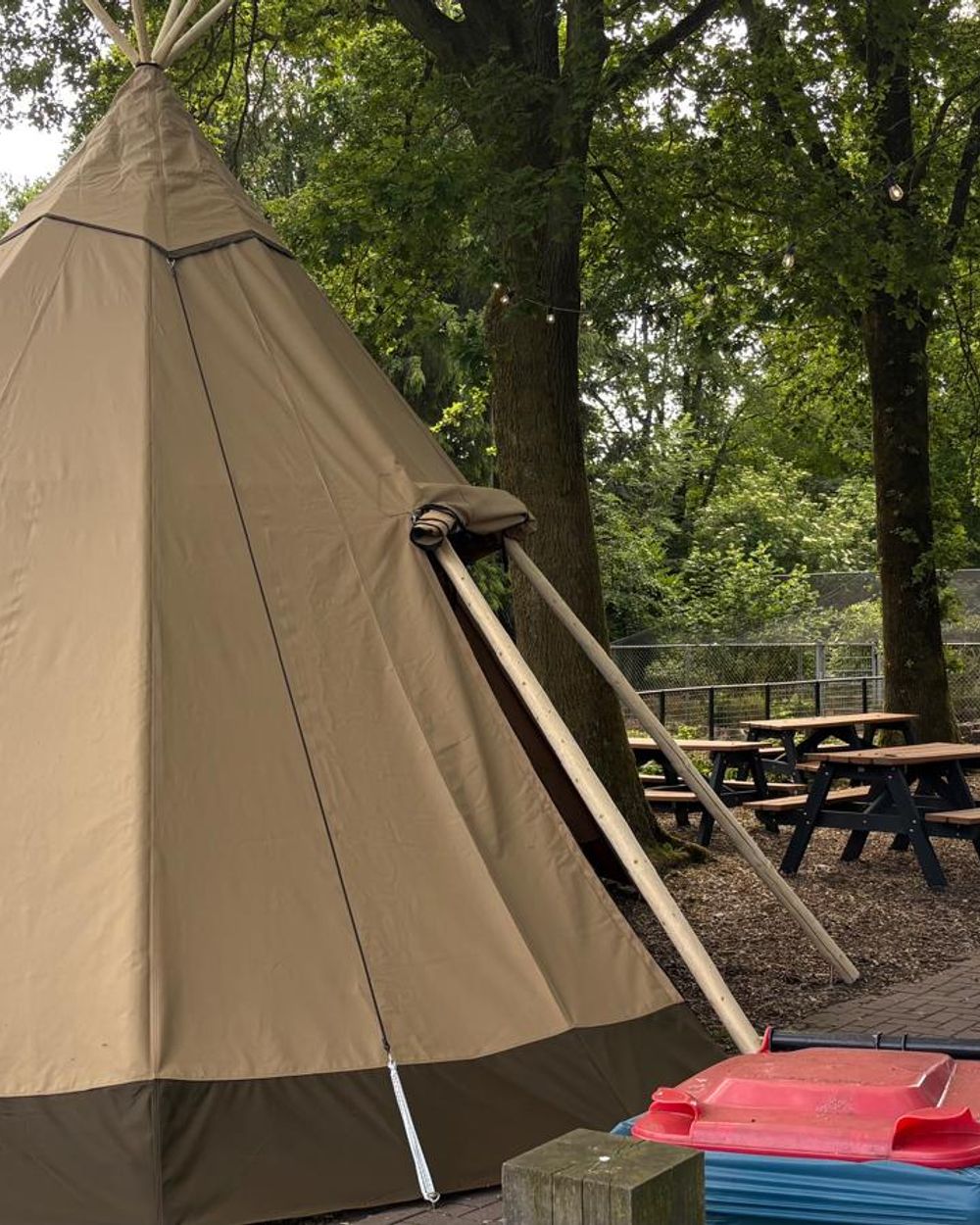 Leestuin moet kinderen bij De Naturij aan het lezen krijgen: "Goede ...