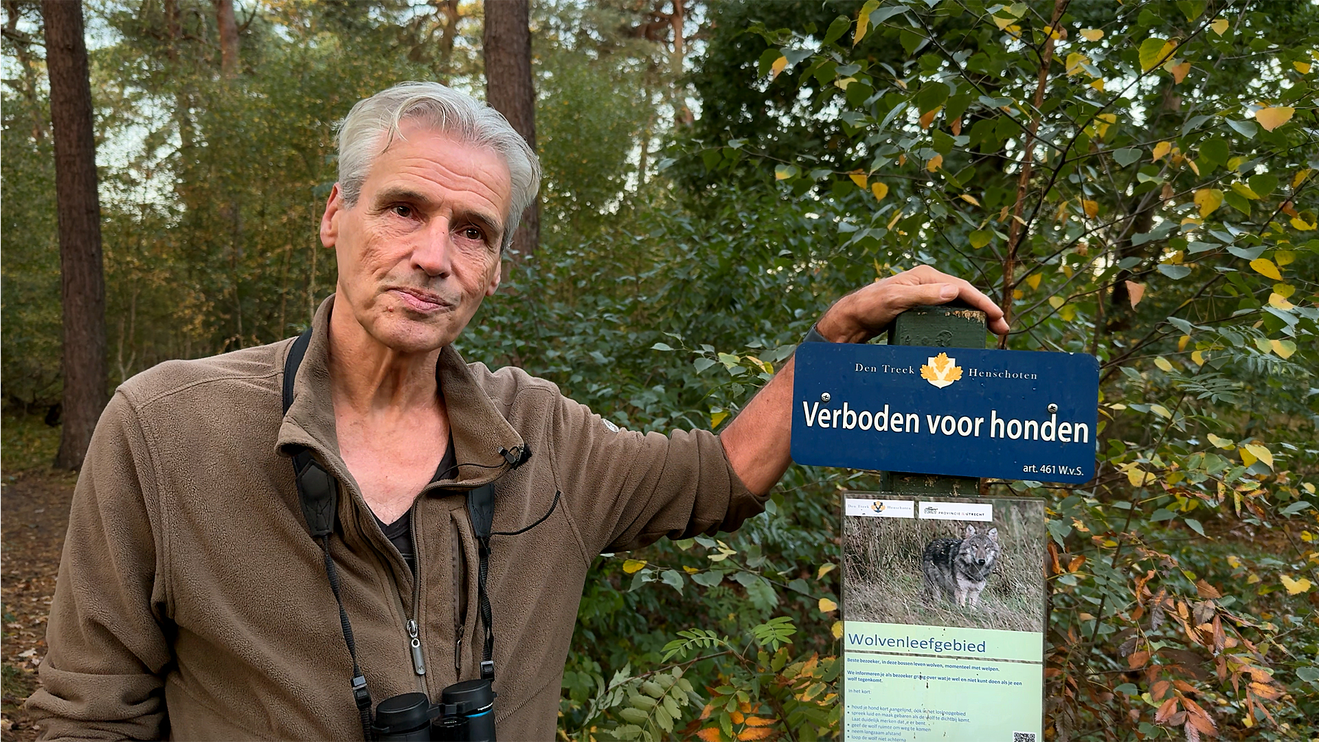 Vrijwilligers waken over wolven op Den Treek: 'Waar blijven de ...