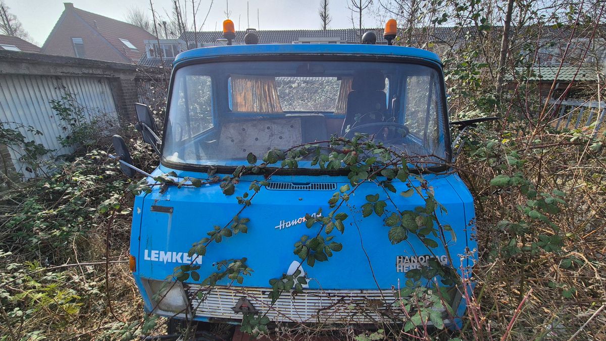 Onkruid neemt oprijwagen over - Omroep West