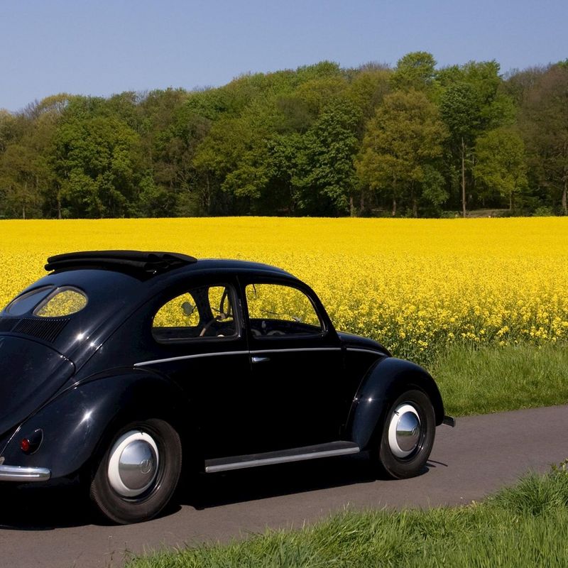 Oude Volkswagen Kever in Enschede gestolen - Oost