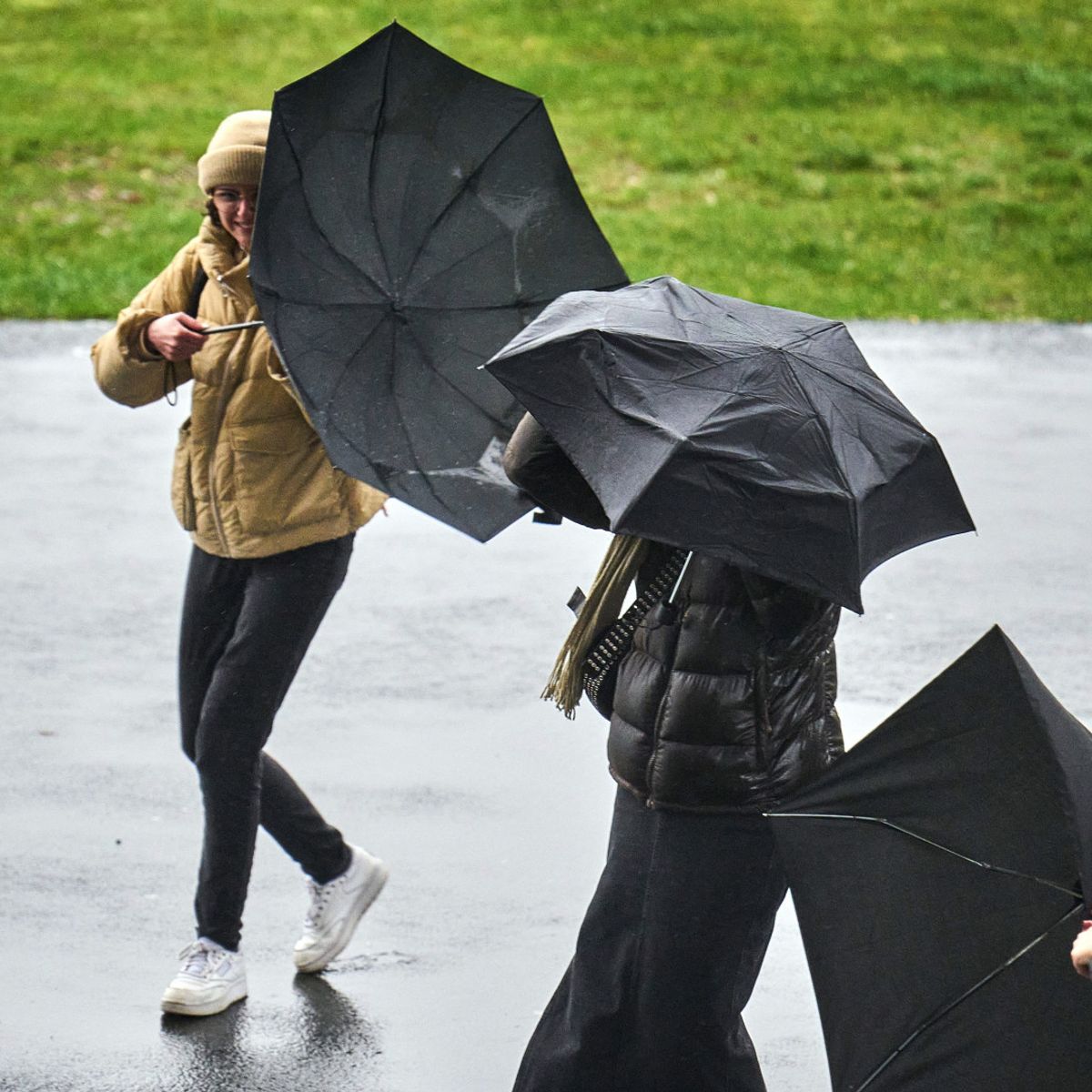 Zware windstoten op komst, KNMI waarschuwt met code geel - Omroep West