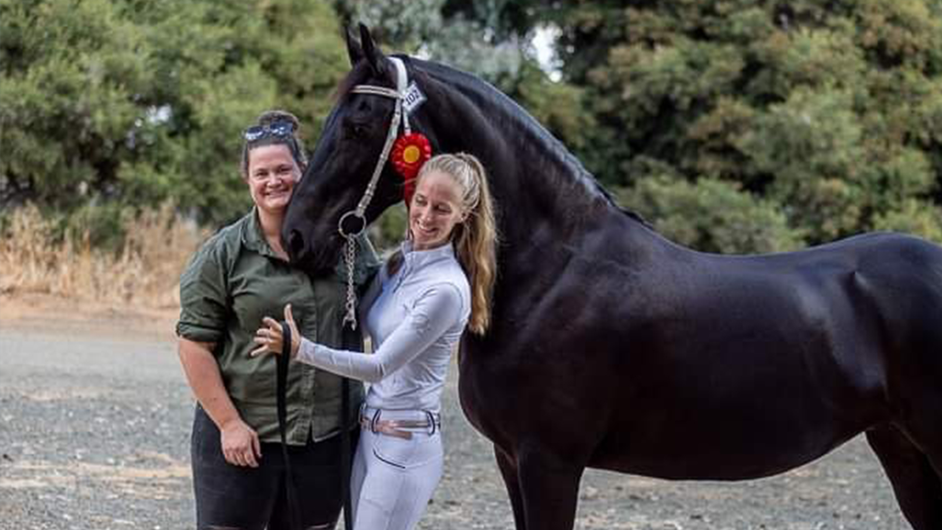 Marrit (30) woont in Australië: "Het Friese paard zal nooit meer uit ...