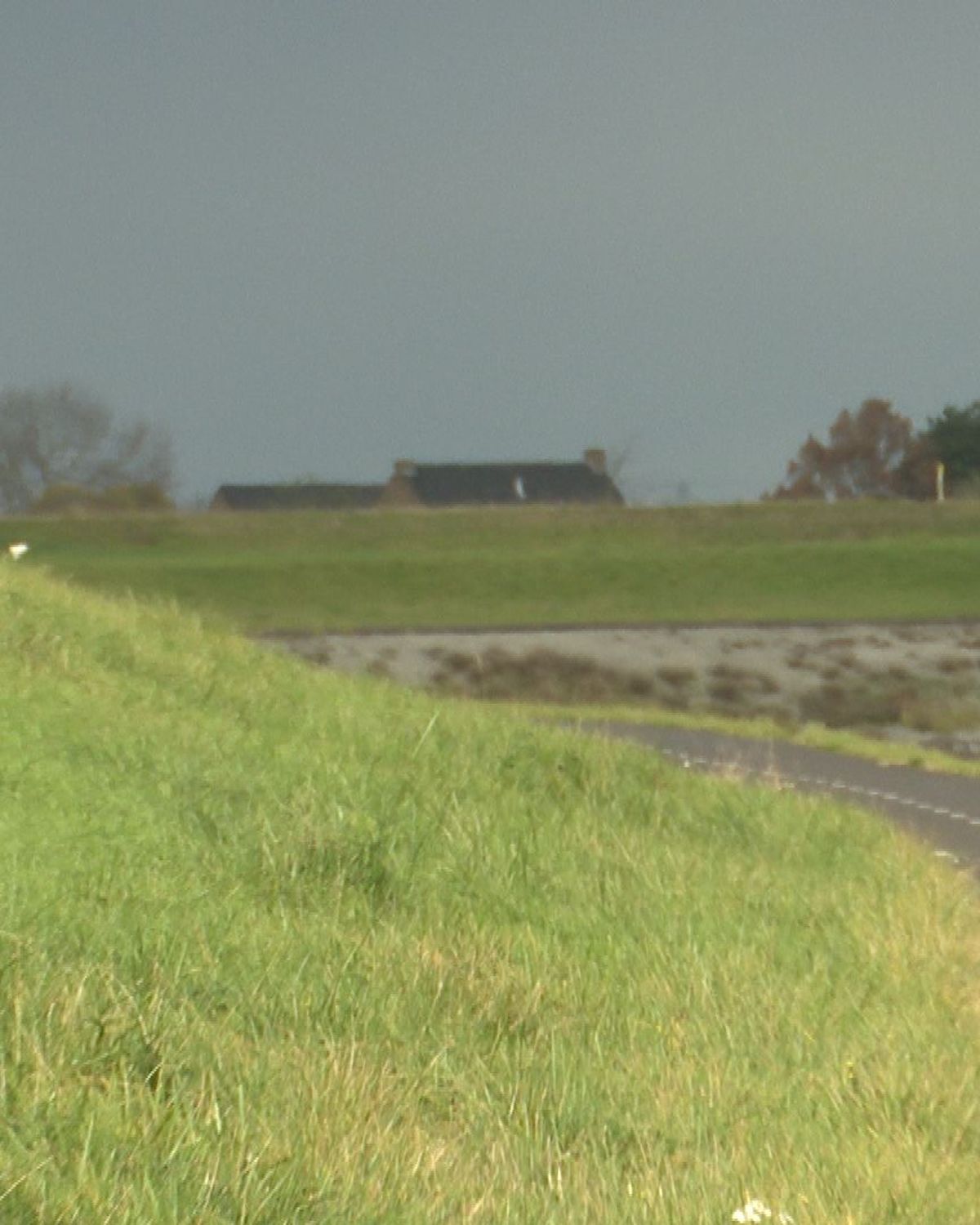 Hulst vindt extra onderzoek naar verontreinigde grond dijk Perkpolder ...