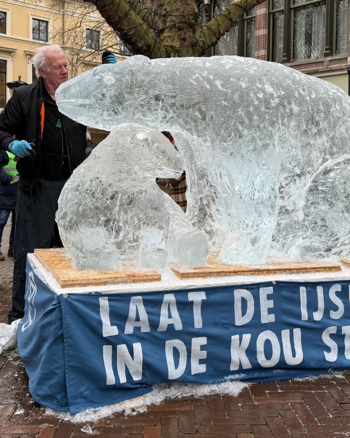 Waarom staat er een ijsbeer in de binnenstad van Utrecht? - RTV Utrecht