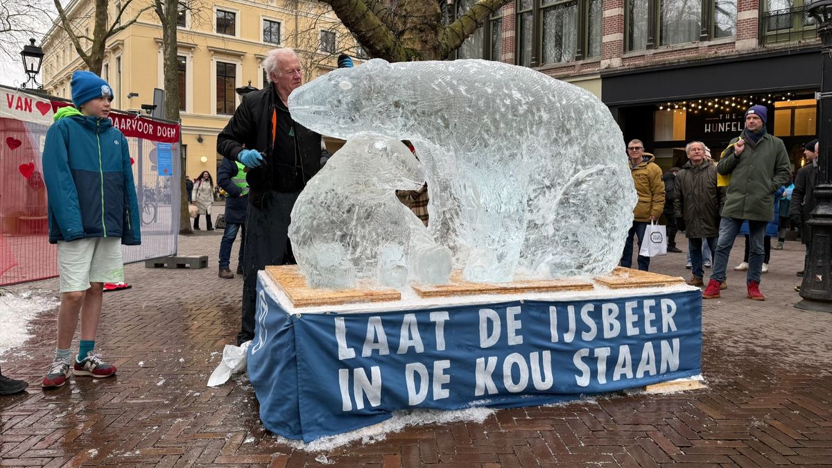 Waarom staat er een ijsbeer in de binnenstad van Utrecht? - RTV Utrecht