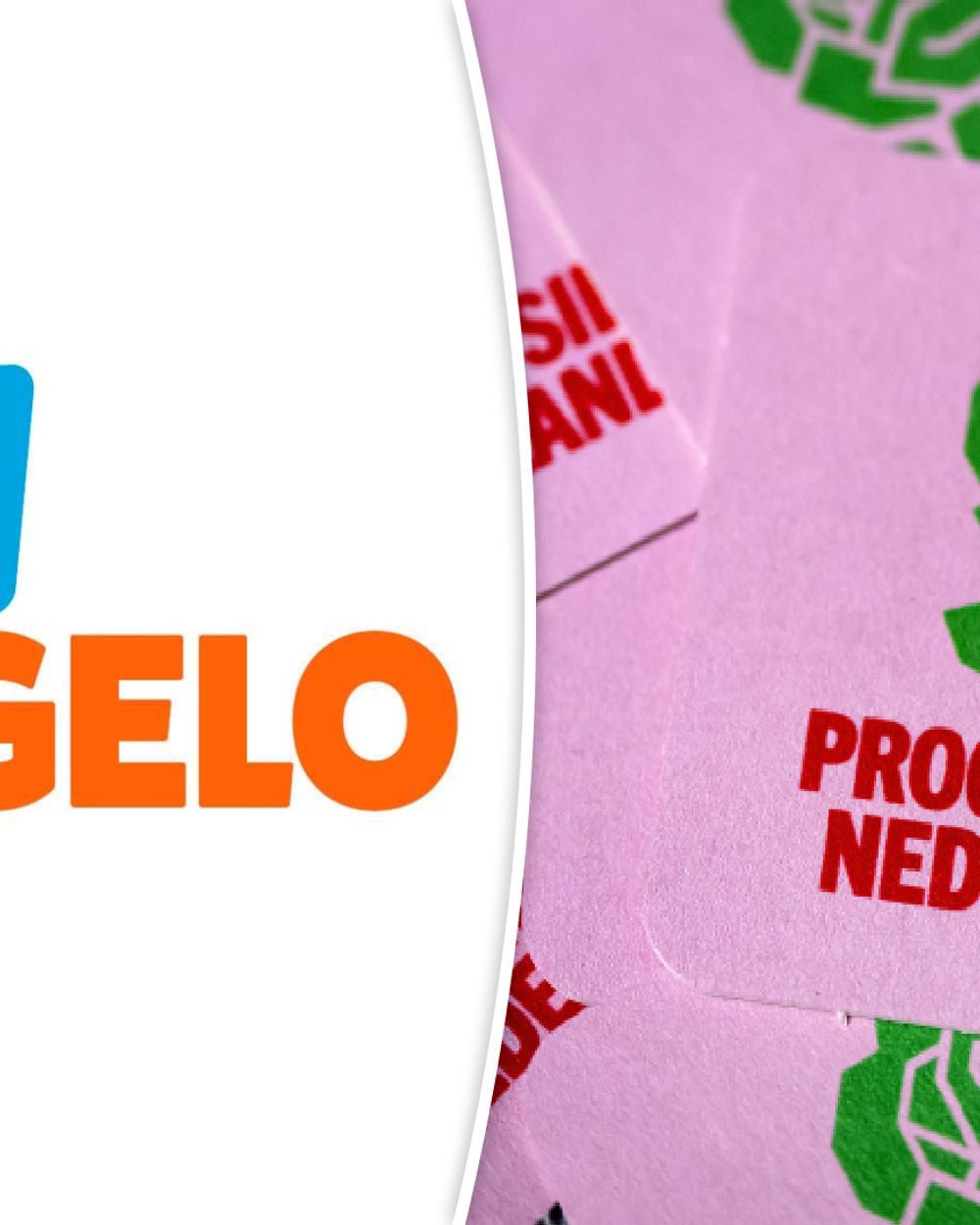 ProHengelo en andere lokale partijen eisen nieuwe naam voor GroenLinks ...