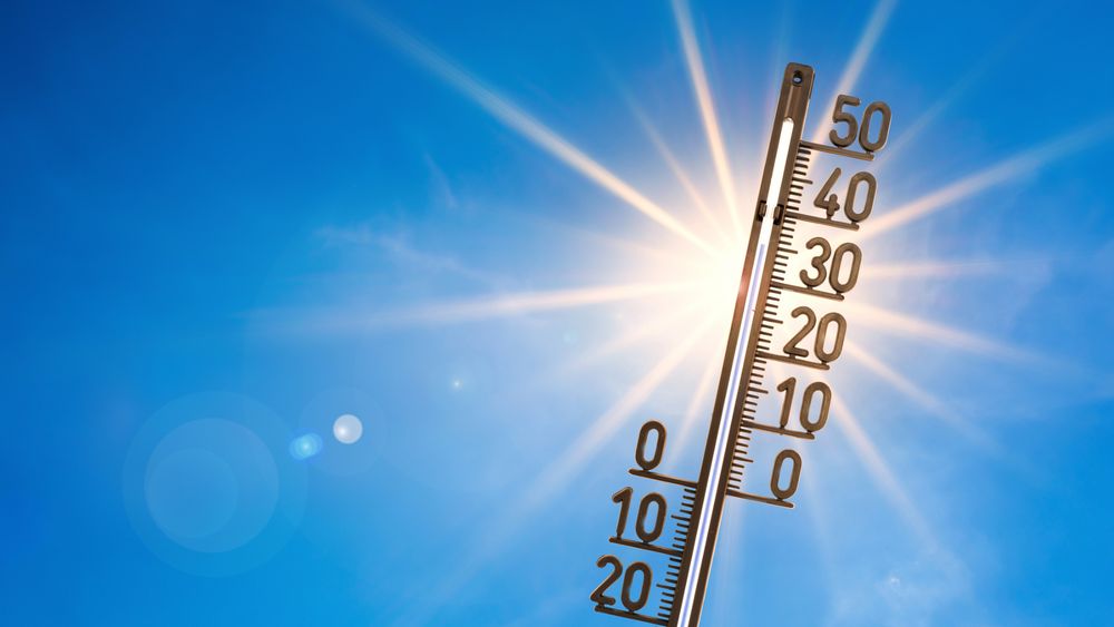 Zomer 2025: Warmte en zonuren ver boven het gemiddelde - Rijnmond