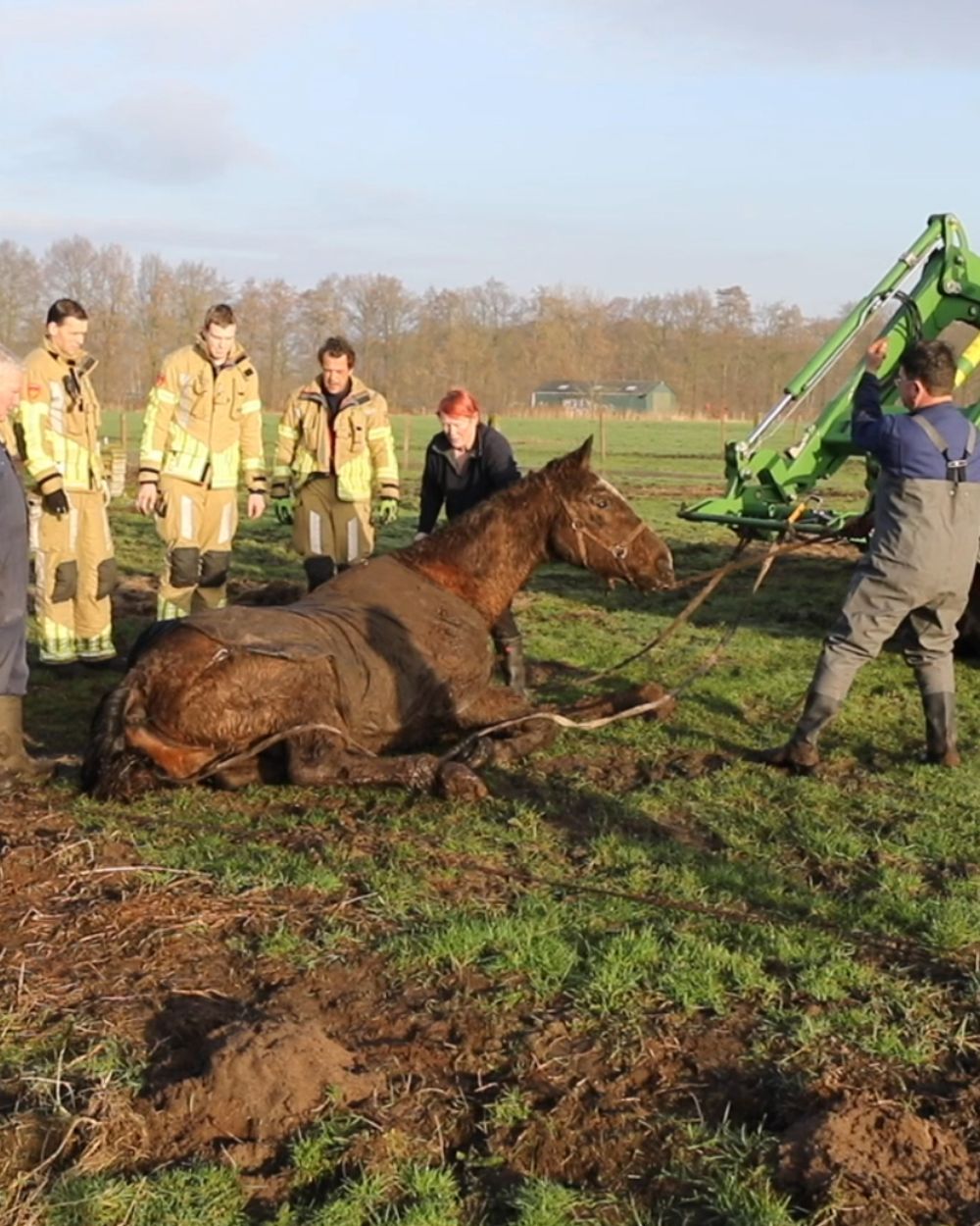 112-nieuws: paard overleden na val in sloot, politiemotor betrokken bij ...