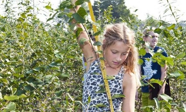 'Van grijze steenwoestijn naar groene oase', schoolpleinen in Ede op de ...