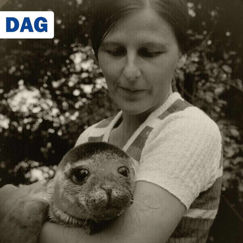 Deze dag: ‘It’s a beautiful day’ voor de zeehond - RTV Noord