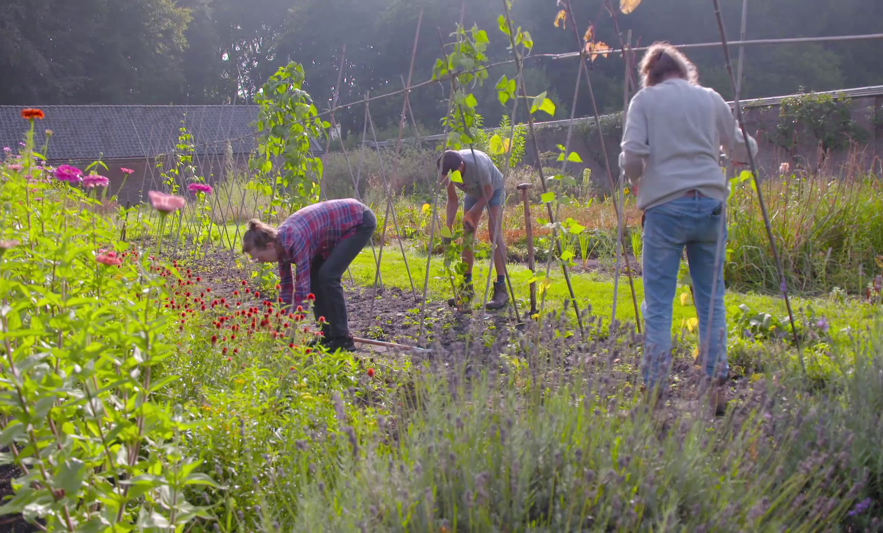 Historische Moestuinen - Voorjaar en zomer op Vollenhoven - 24-10-2023 ...