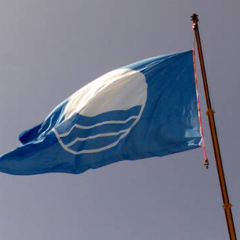 Blauwe vlag voor stranden Beesd en Maurik - Omroep Gelderland