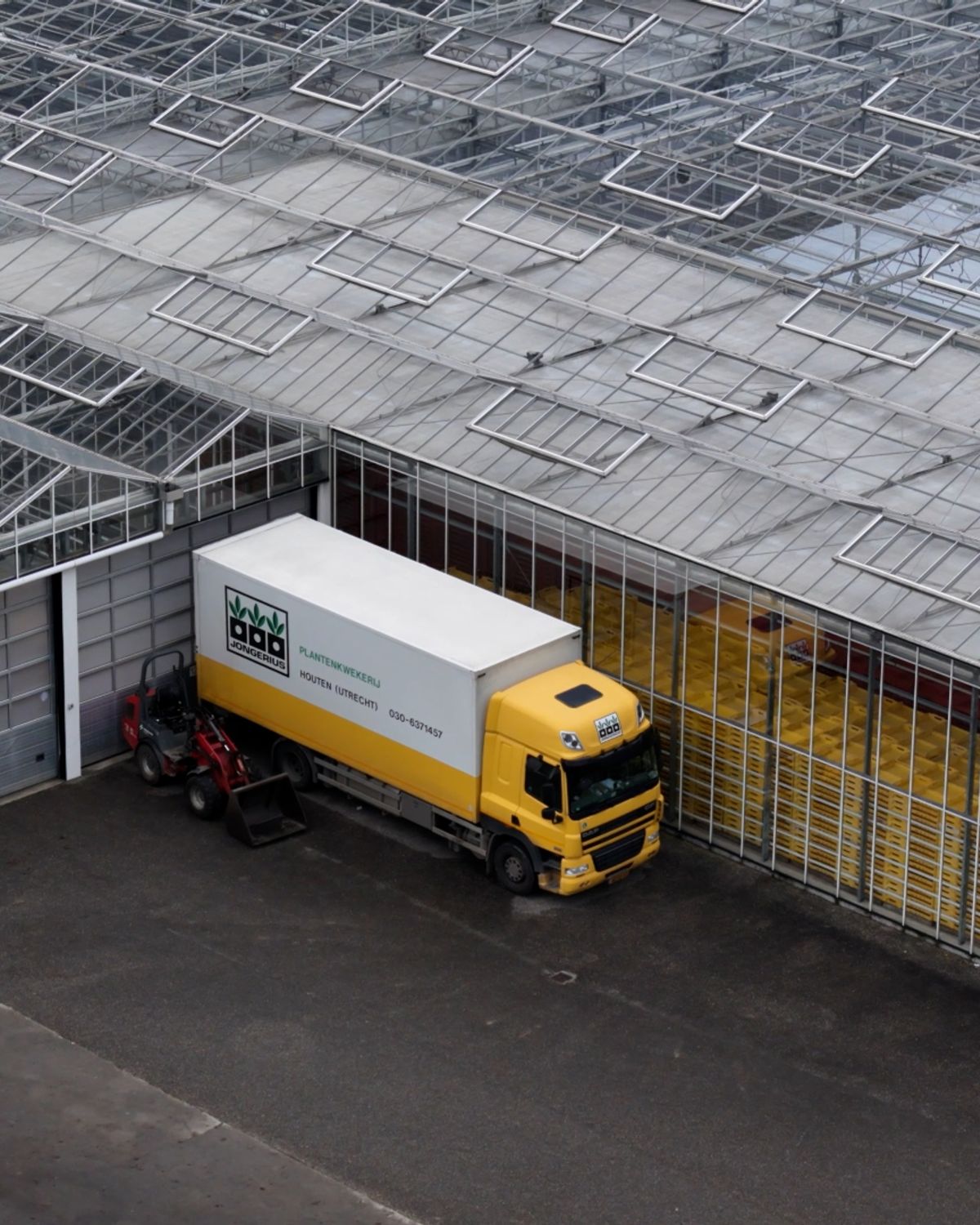 Kwekerij Jongerius failliet, eigenaar en directeur onbereikbaar - RTV ...