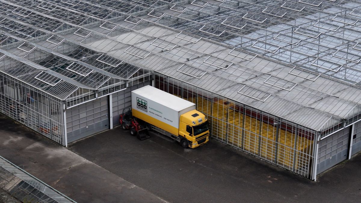 Kwekerij Jongerius na weken van onzekerheid failliet - RTV Utrecht