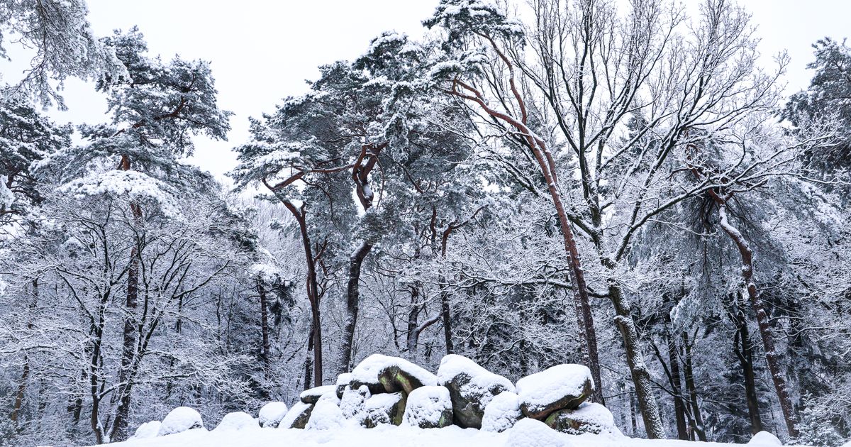 KNMI schaalt af naar code geel, gevoelstemperatuur naar -10 - RTV Drenthe