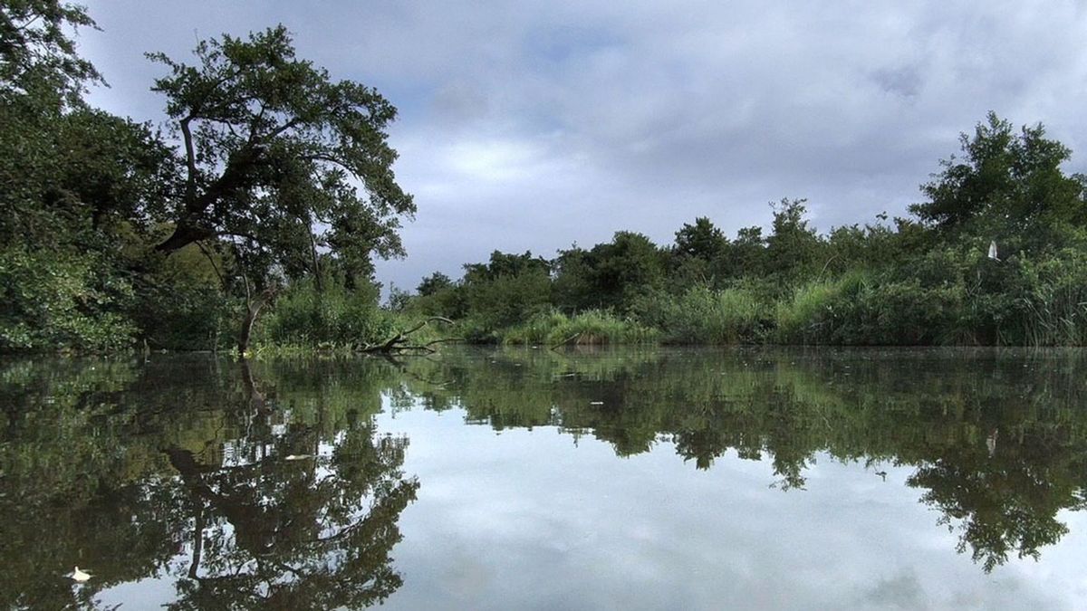 Nationaal Park Drentsche Aa speelt hoofdrol in nieuwe natuurfilm - RTV ...