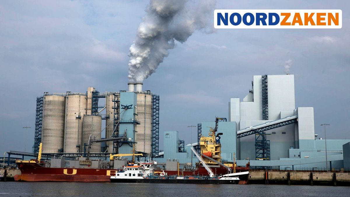 RWE teleurgesteld na verlies hoger beroep verbod kolenstook Eemshavencentrale - RTV Noord