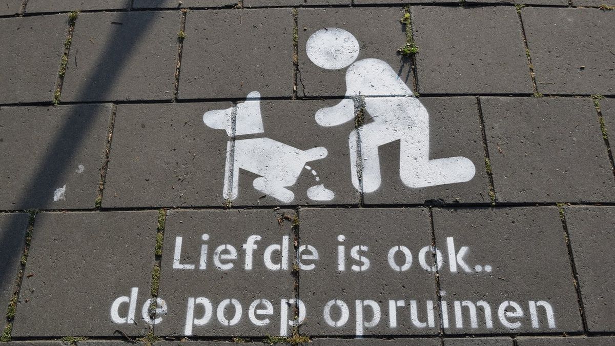 Poep opruimen: dat is pas liefde! - Omroep Gelderland