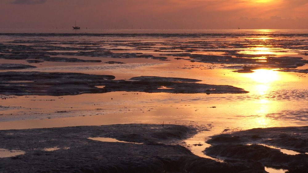 Kamer verkeerd geïnformeerd over zoutwinning onder de Waddenzee ...