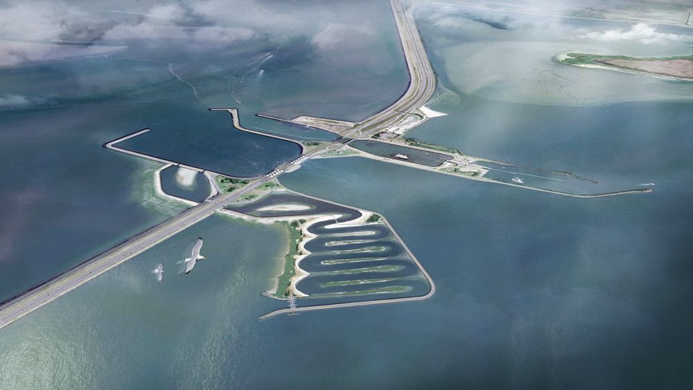 Vismigratierivier valt dertien miljoen euro duurder uit - Omrop Fryslân