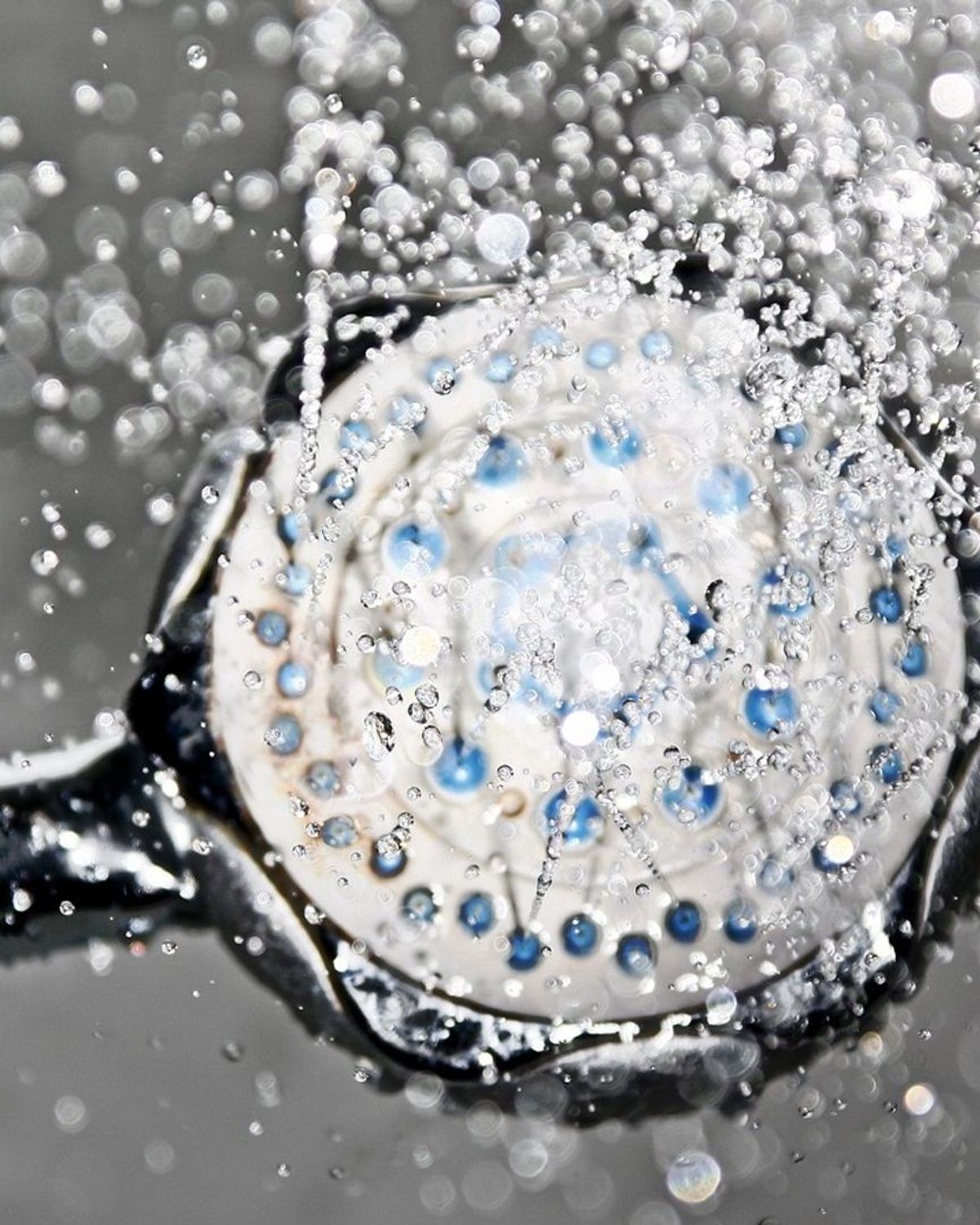Korter douchen om te bezuinigen: 'Een maand lang zonder douche is voor ...