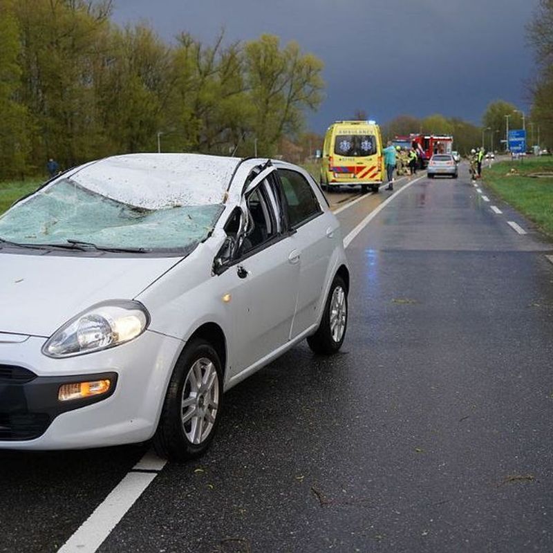 Boom waait om en valt op twee passerende auto's - Omroep Gelderland