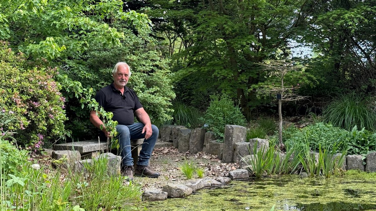 Wiechers droomtuin in Gasselte groeit als kool, maar mag dat wel van de ...