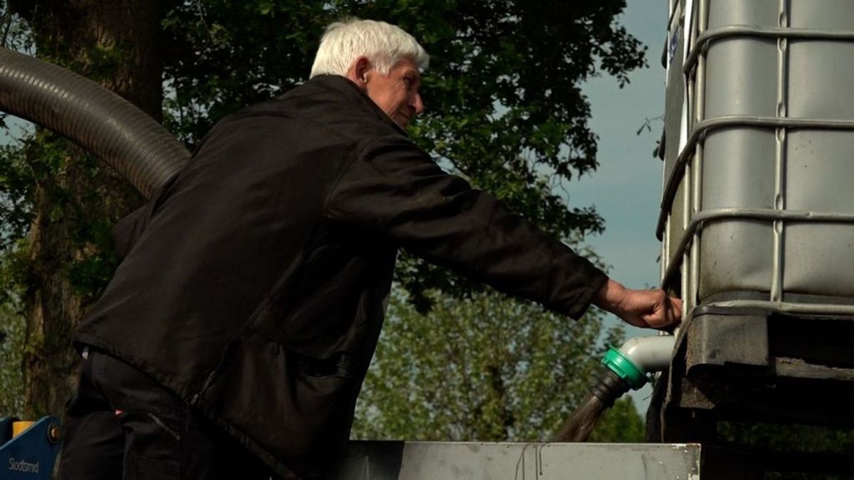 Boer Arjan teelt zijn maïs op creatieve wijze - Omroep Gelderland