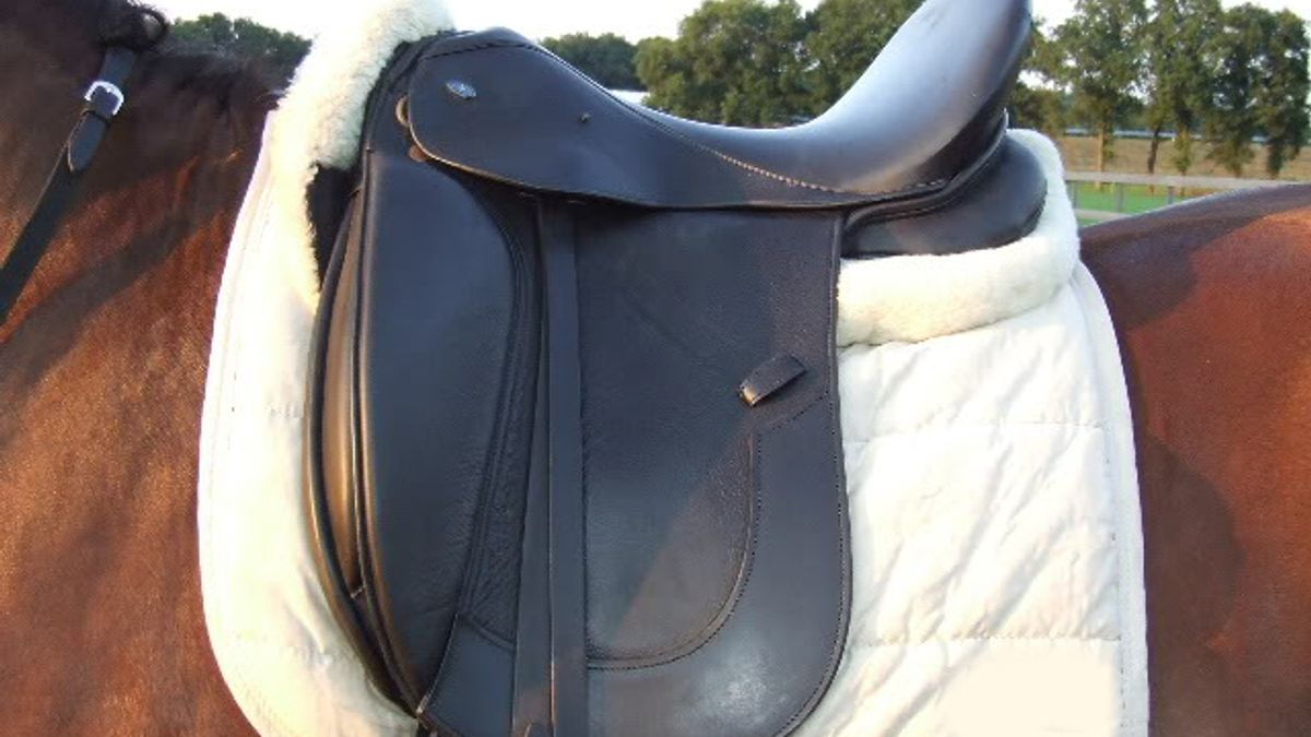 Meisje (14) overleden na val van paard - Rijnmond
