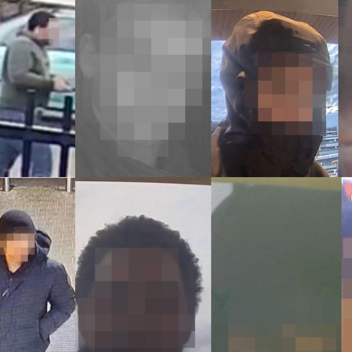 Oplichting, fraude en nepagenten: politie toont 100 verdachten ...