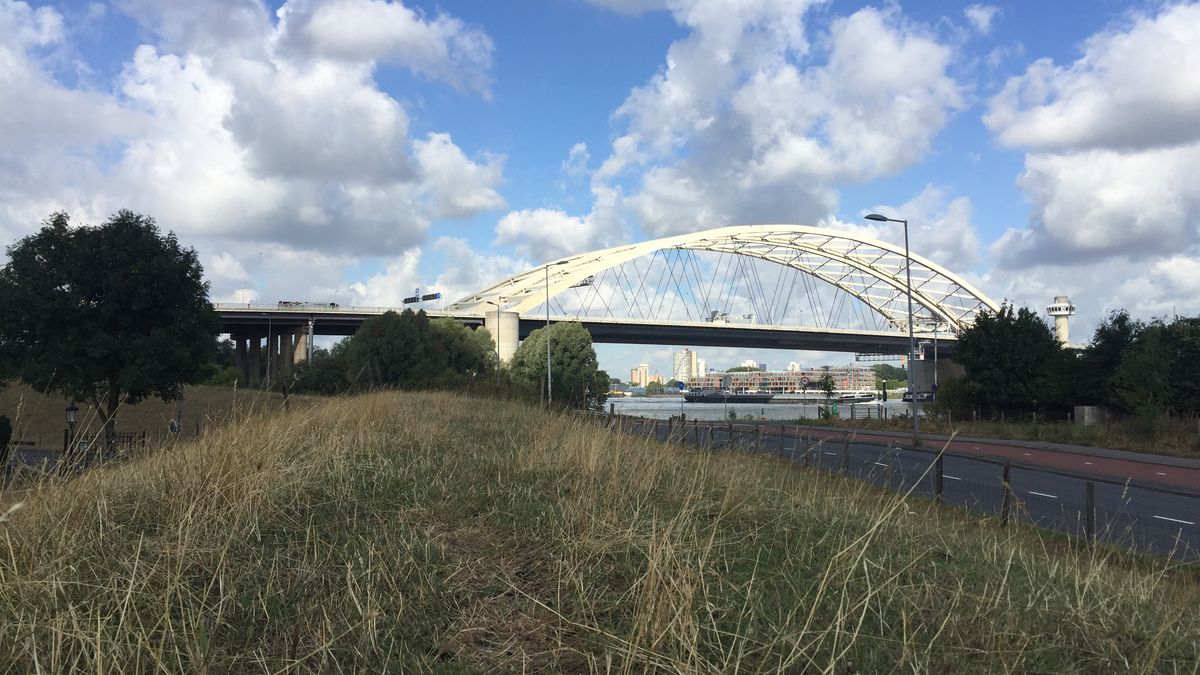 'Dikke voldoende' voor dijken in de Hollandse delta - Rijnmond