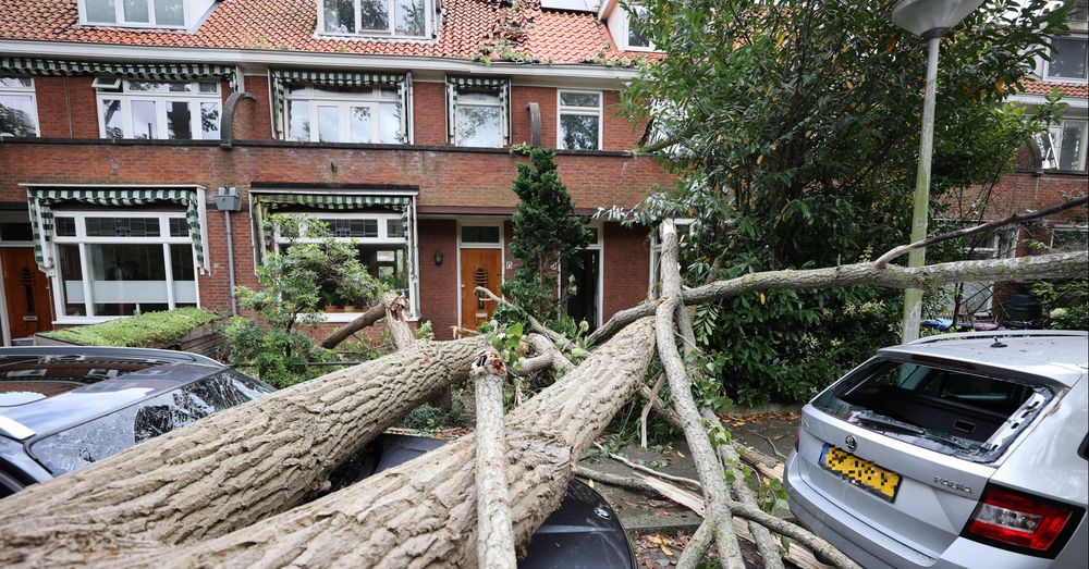 Zware windstoten op komst, KNMI waarschuwt voor gevaarlijke situaties - Omroep West