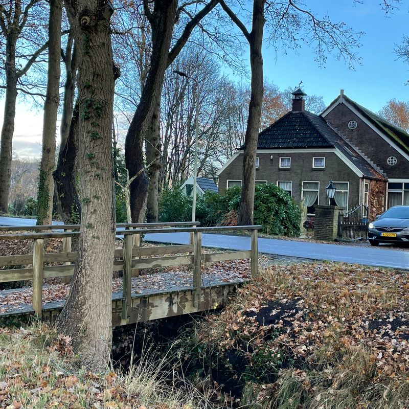 Tot zes jaar cel geëist voor 'gruwelijke en gewelddadige woningoverval die uren duurde' - RTV ...