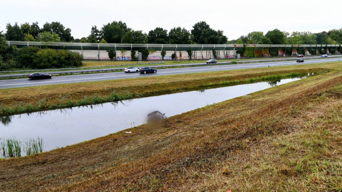 Automobilist verliest macht over het stuur en belandt in de sloot - Omroep Gelderland