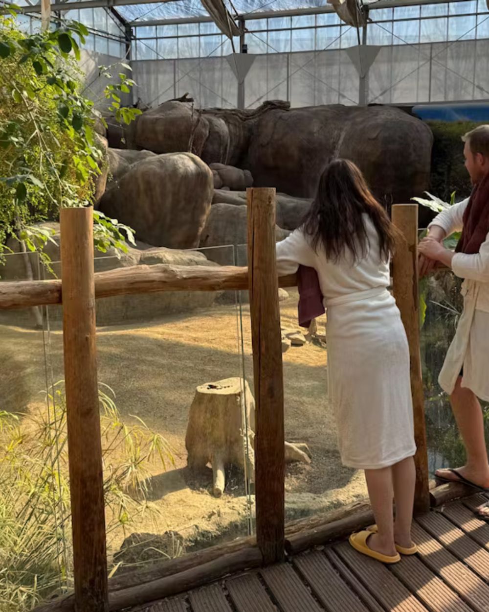 Dit zijn de leukste (en meest bizarre) 1 aprilgrappen in de regio ...