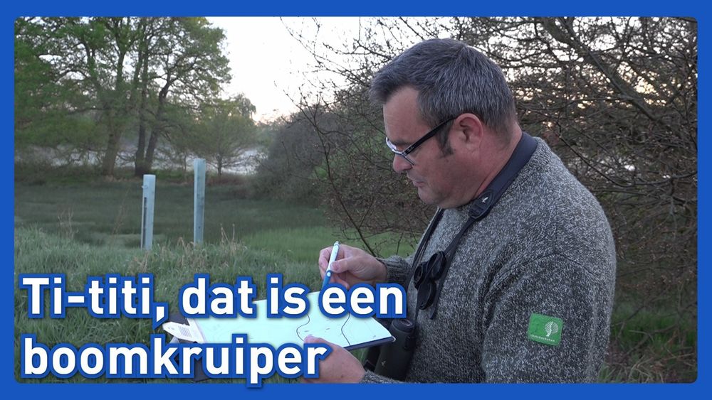 Winterkoninkje, vink, bonte specht, boomkruiper: Leon herkent ze zo ...