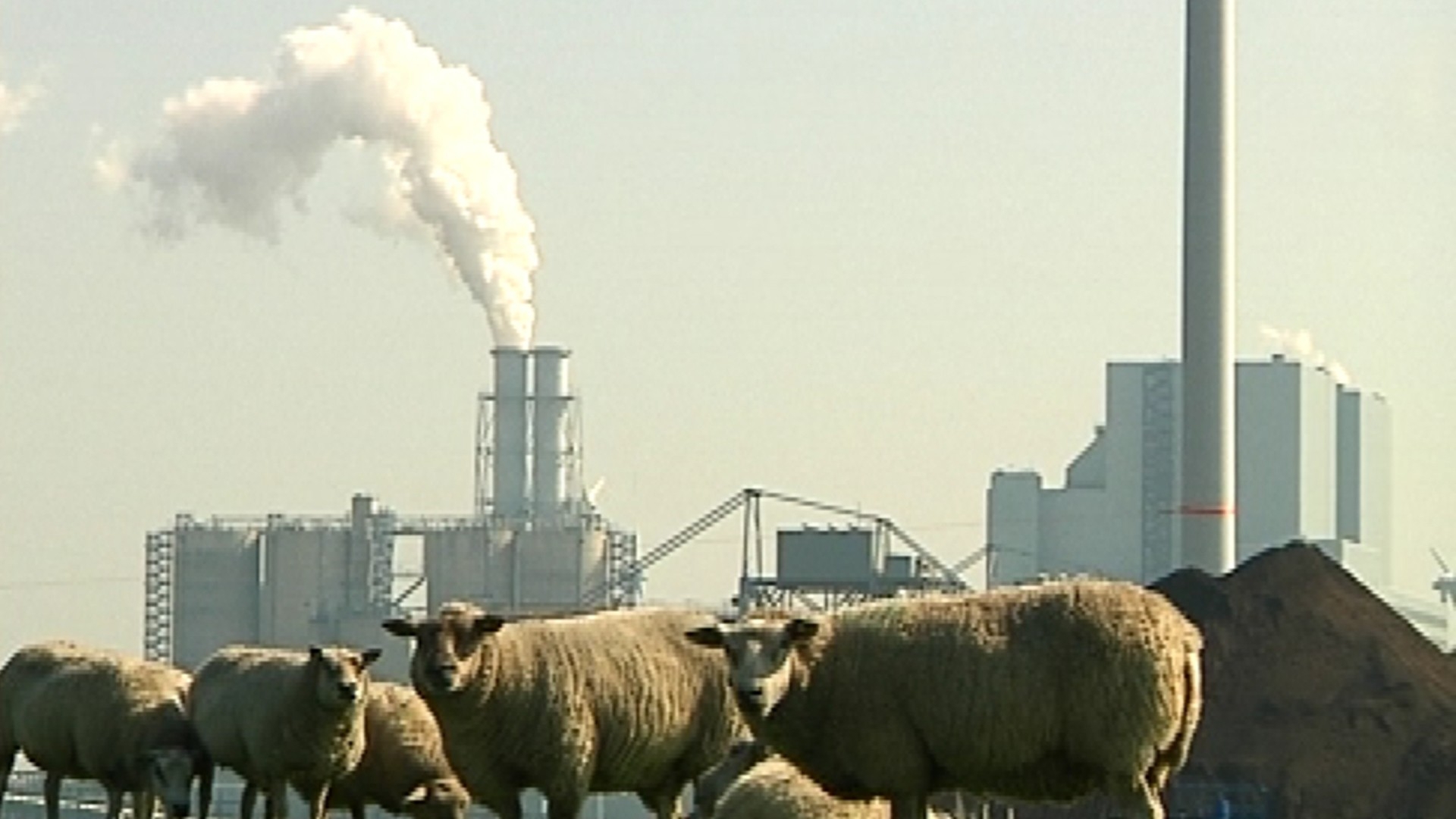 Kolencentrales: dit zijn de voors en tegens - RTV Noord